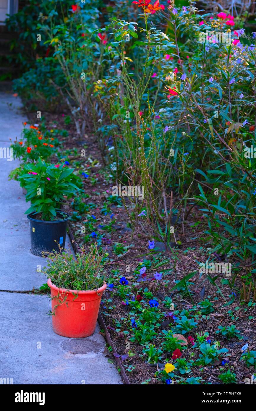 Urban Gardens, Cabbage, Kale, Sign, Chard, Sticks, Tomatoes, Peppers ...