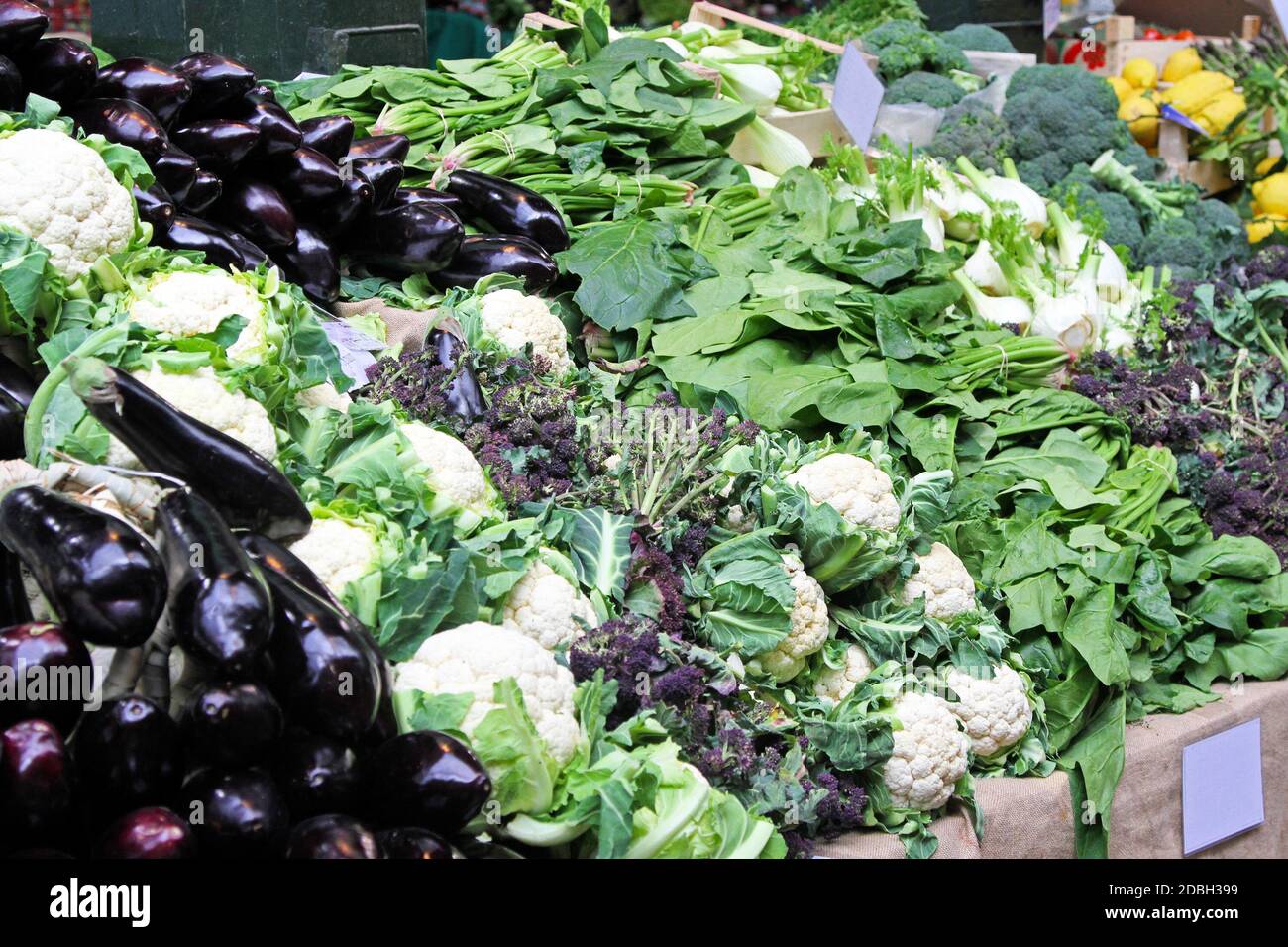 Big pile of organically grown green vegetables Stock Photo - Alamy