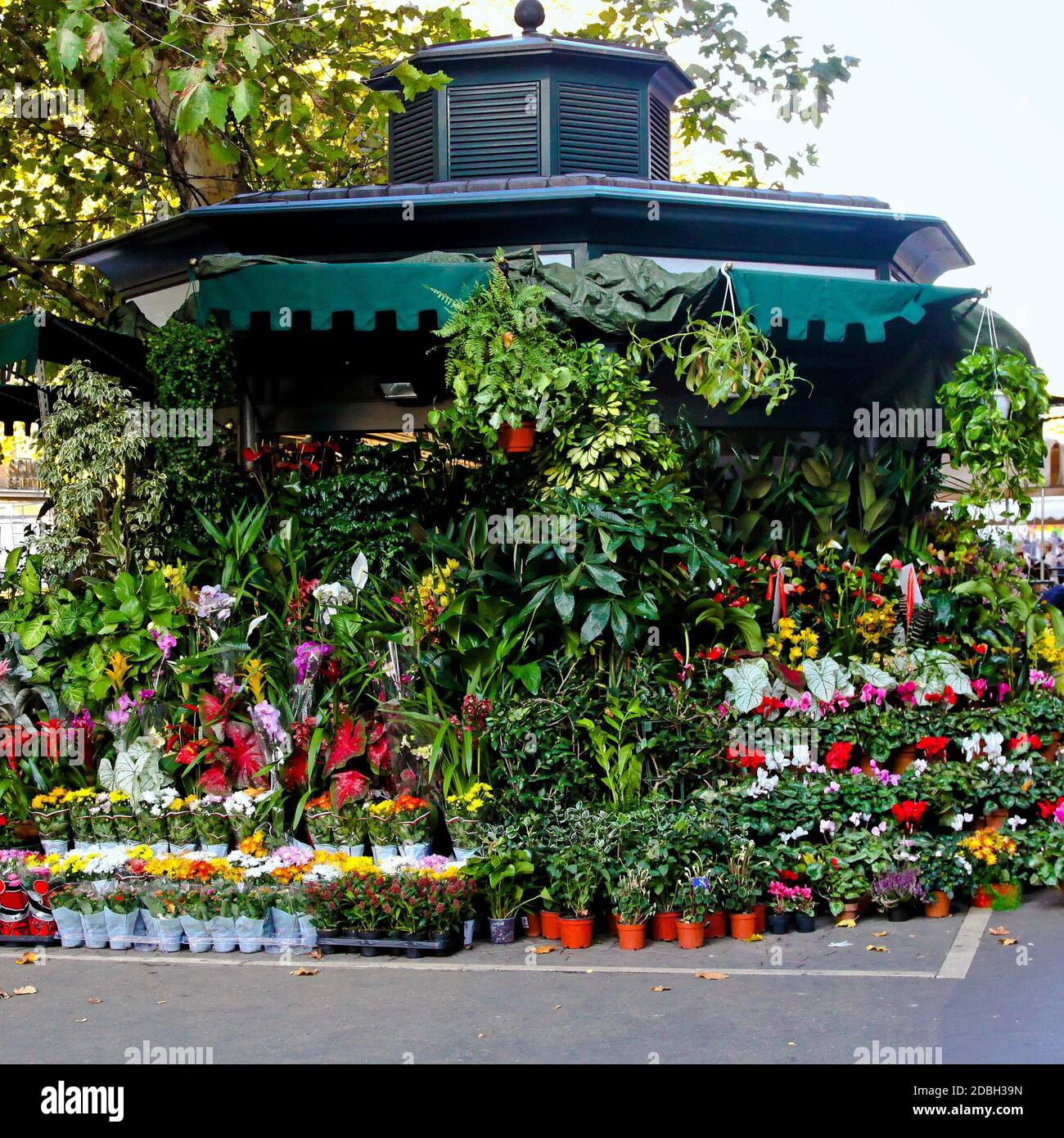 Colorful flower shop on the street pavement Stock Photo - Alamy