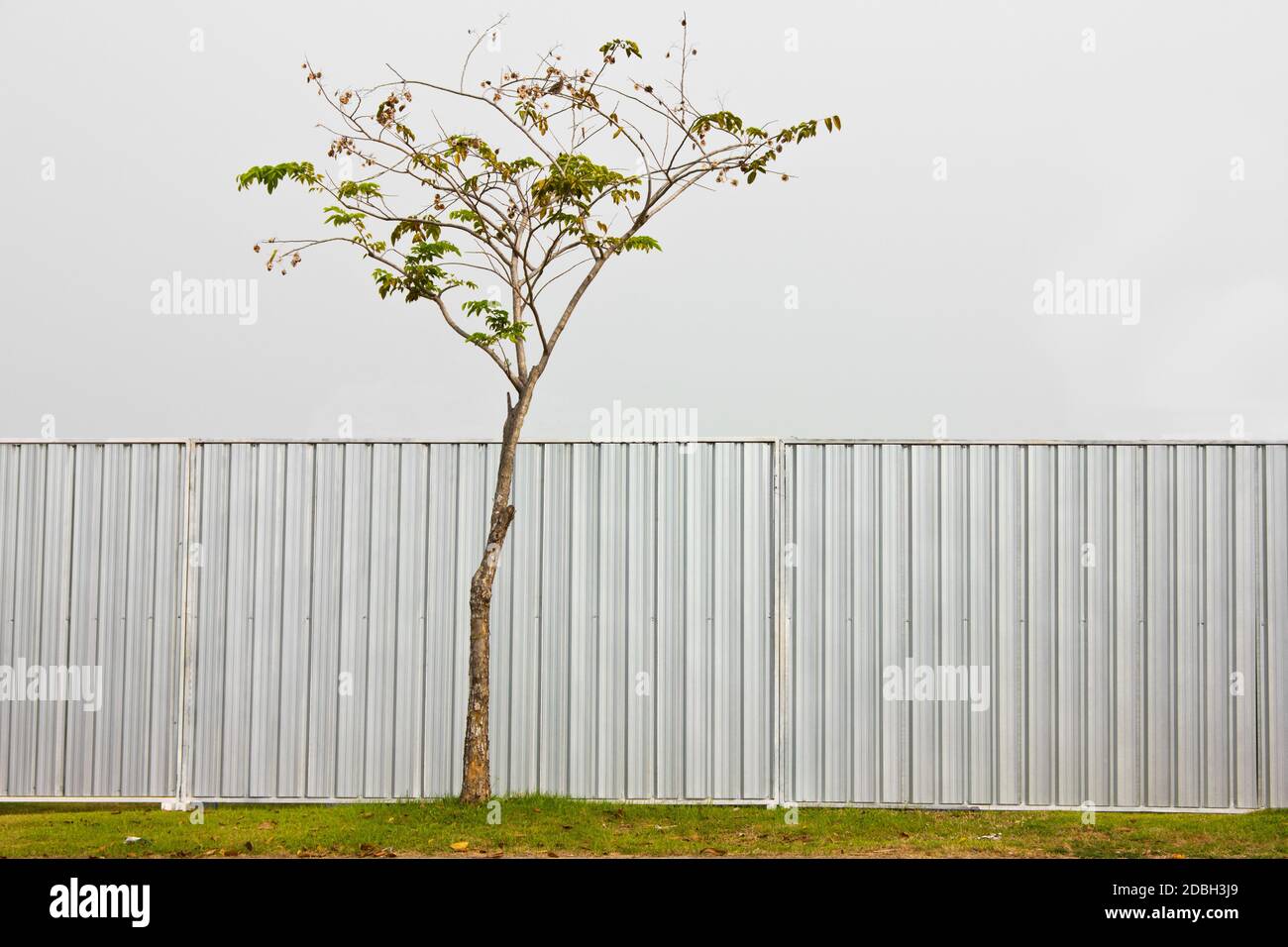 Tree cut metal fence hi-res stock photography and images - Alamy