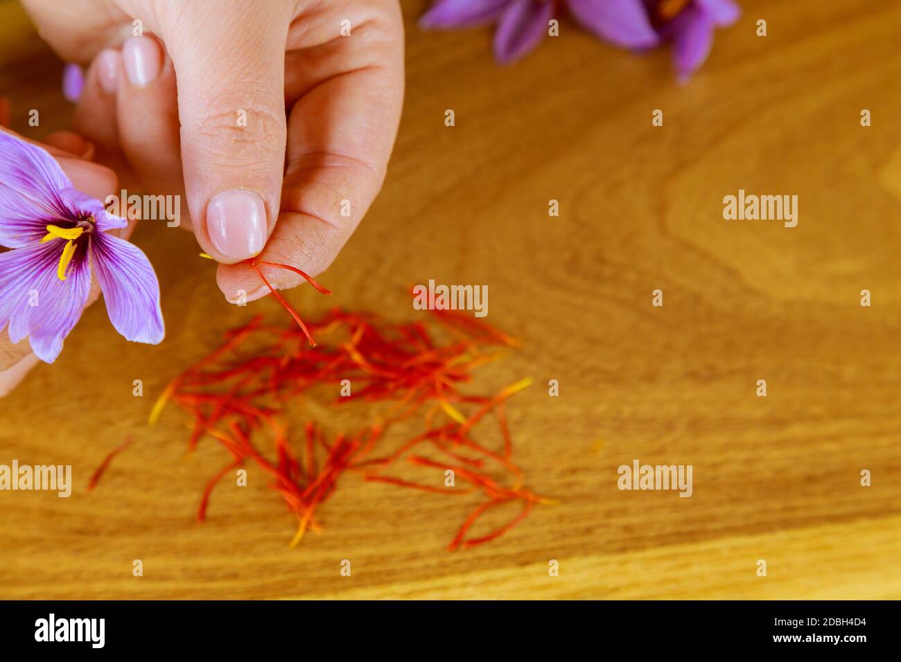 Plant separation flower flower hi-res stock photography and images - Alamy