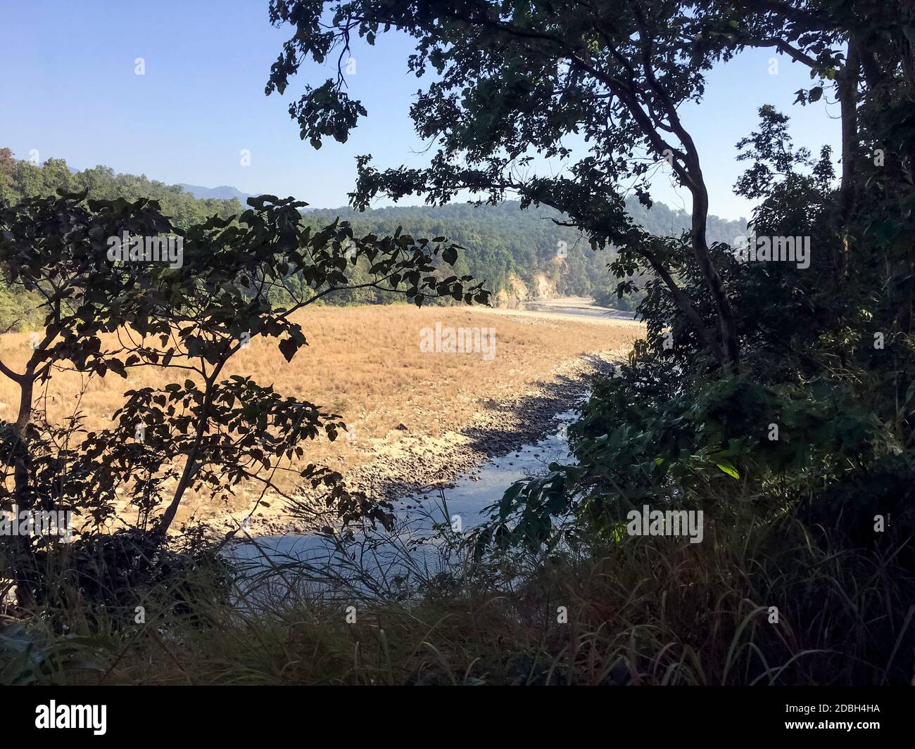 Ramganga River in Jim Corbett National Park, India Stock Photo - Alamy