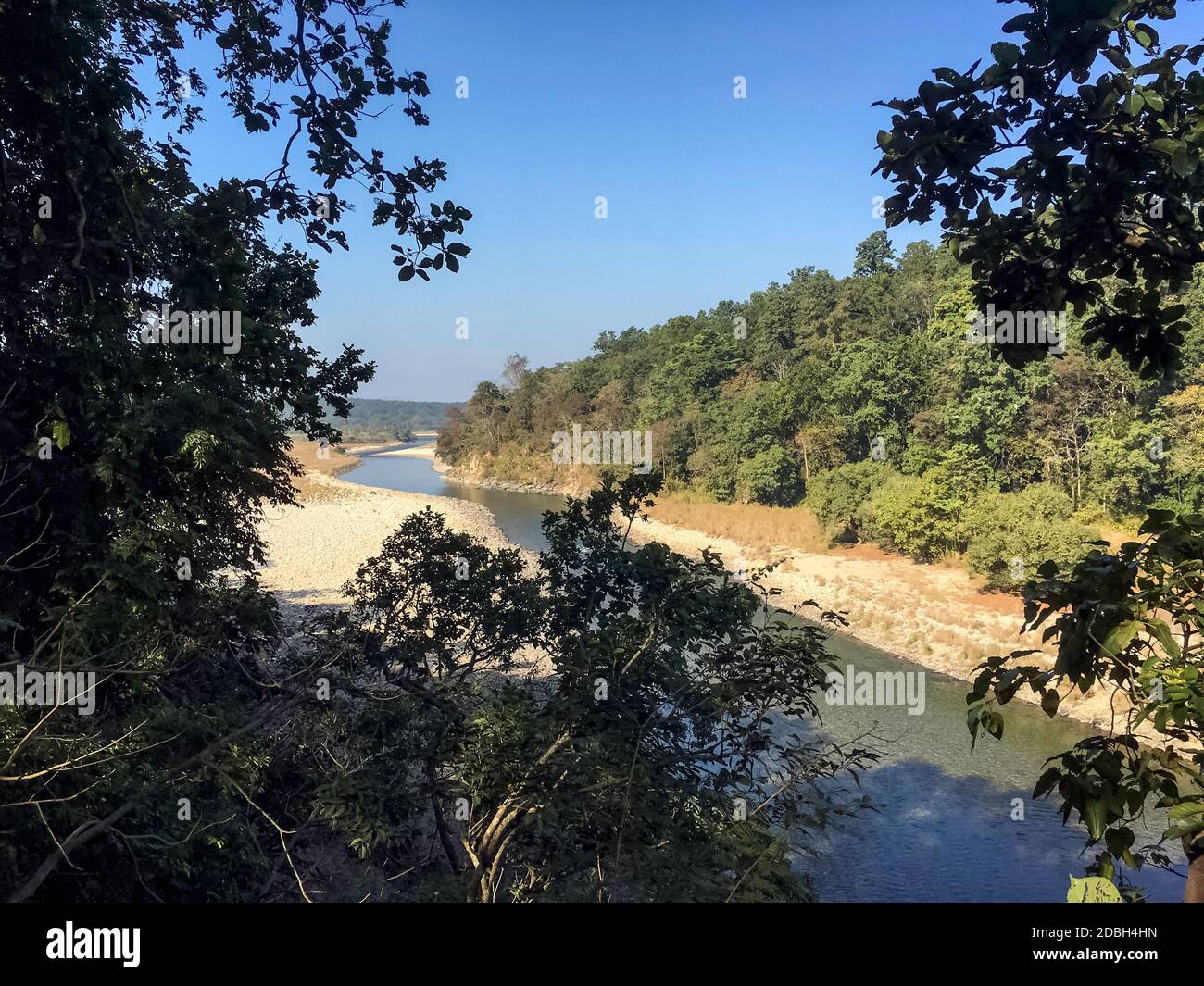 Ramganga River in Jim Corbett National Park, India Stock Photo - Alamy