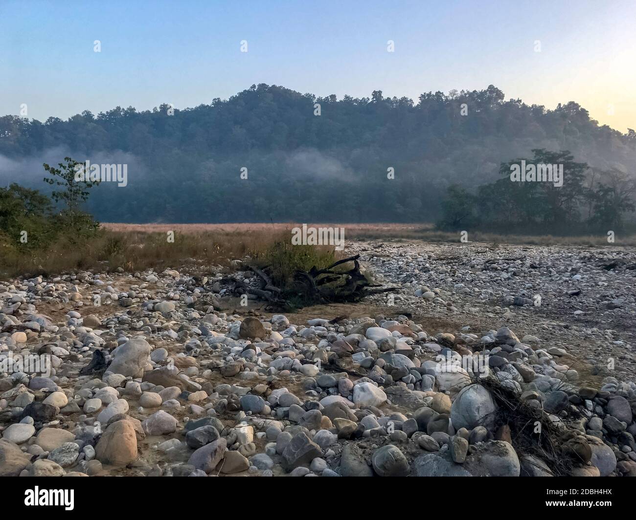 Morning in Jim Corbett National Park, India Stock Photo - Alamy
