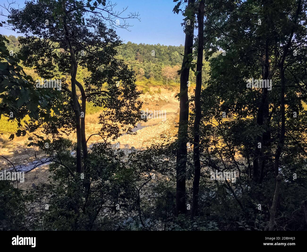 Ramganga River in Jim Corbett National Park, India Stock Photo - Alamy
