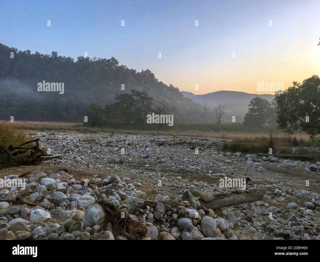 Morning in Jim Corbett National Park, India Stock Photo - Alamy