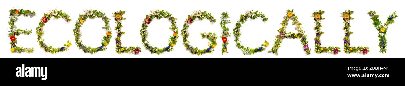 Flower, Branches And Blossom Letter Building English Word Ecologically ...