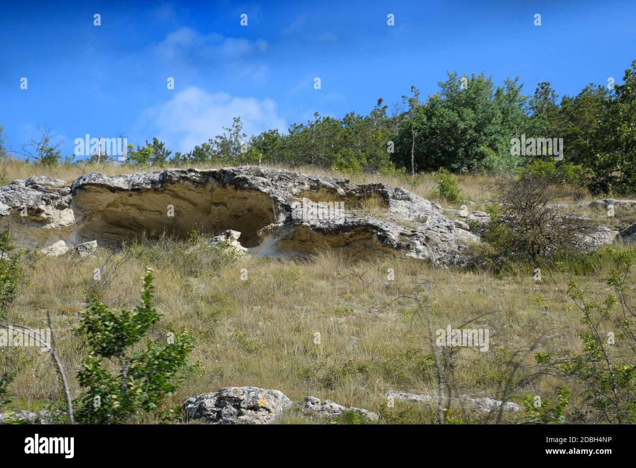Rocks in the limestone forest. Erosion of the rocks Stock Photo - Alamy