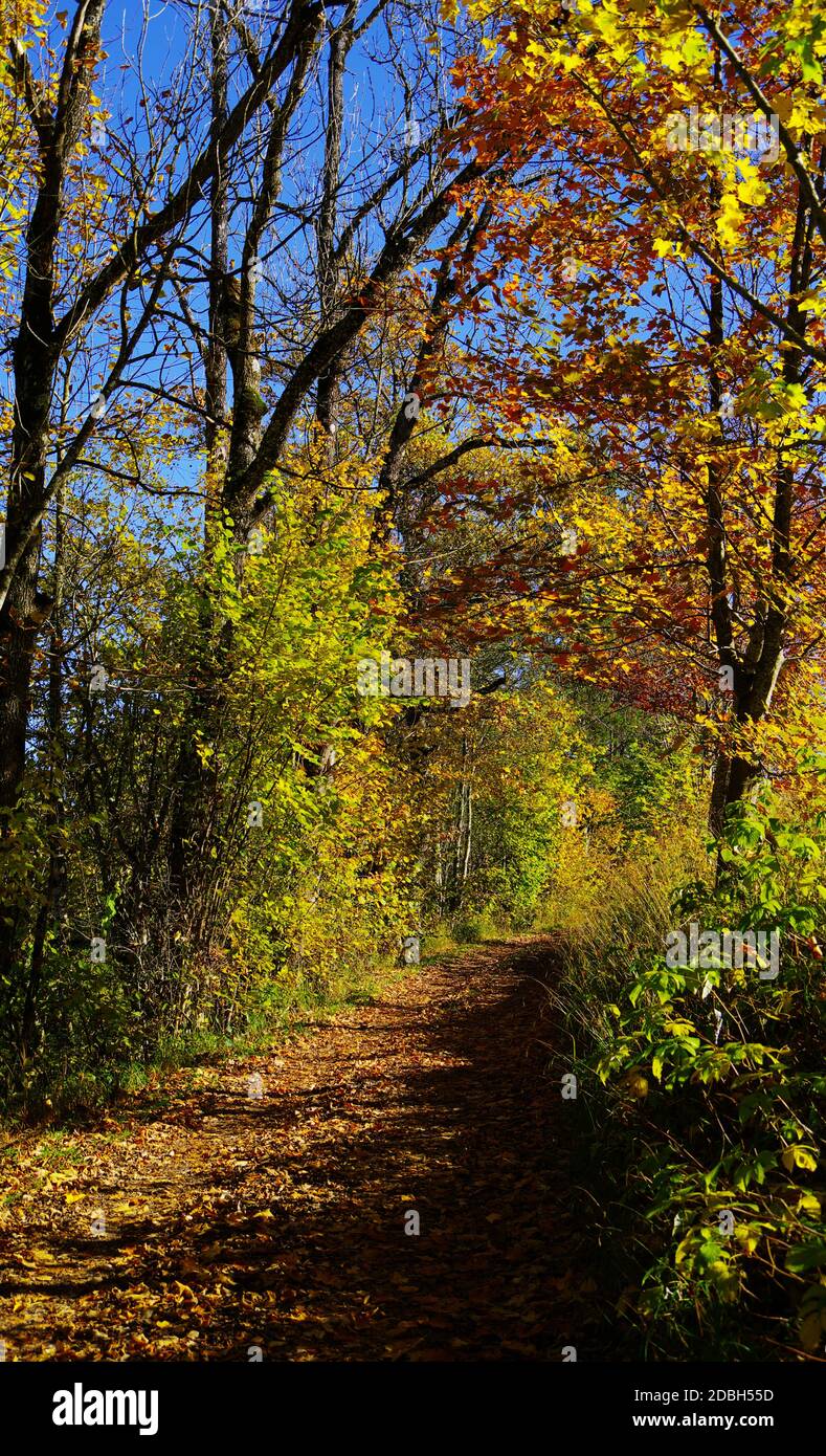 Fantastic autumn colors on a hike hi-res stock photography and images ...