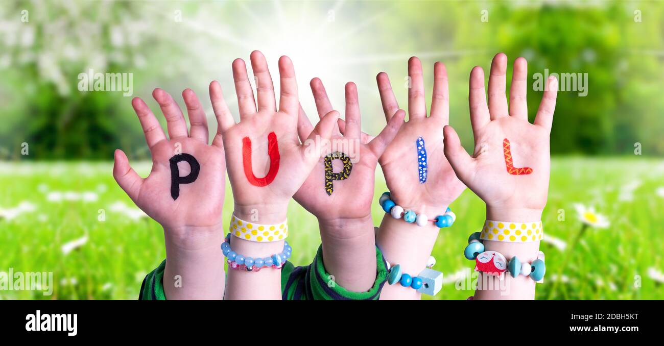 Children Hands Building Colorful English Word Pupil. Sunny Green Grass ...