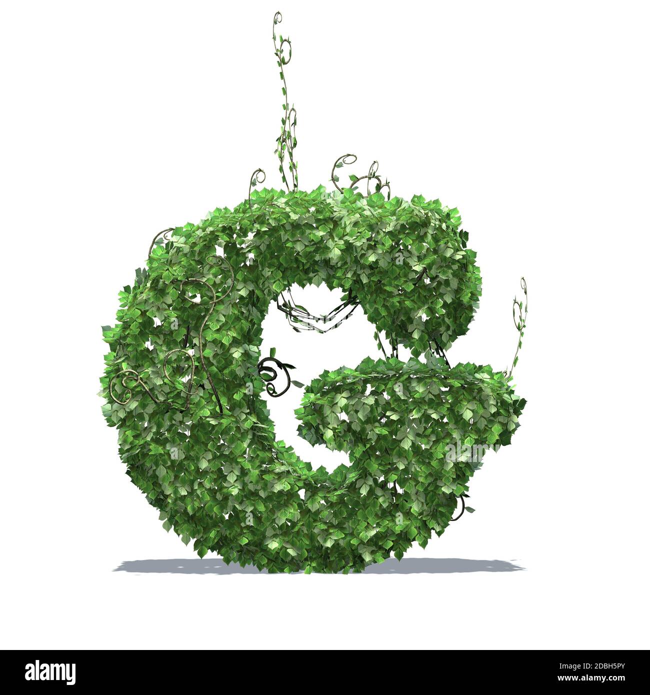 Letter g leaves hi-res stock photography and images - Alamy