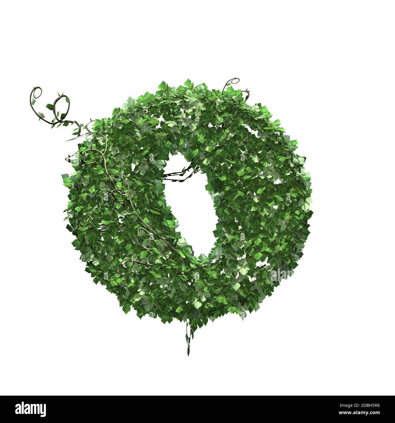 Letter o leaf hi-res stock photography and images - Alamy