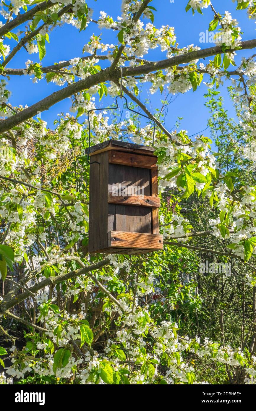 Niche breeders hi-res stock photography and images - Alamy