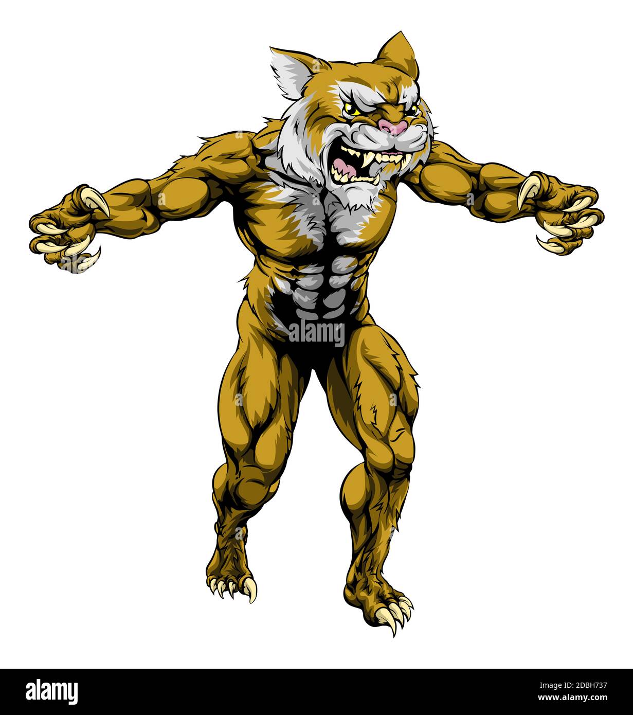 Bobcat snarling hi-res stock photography and images - Alamy