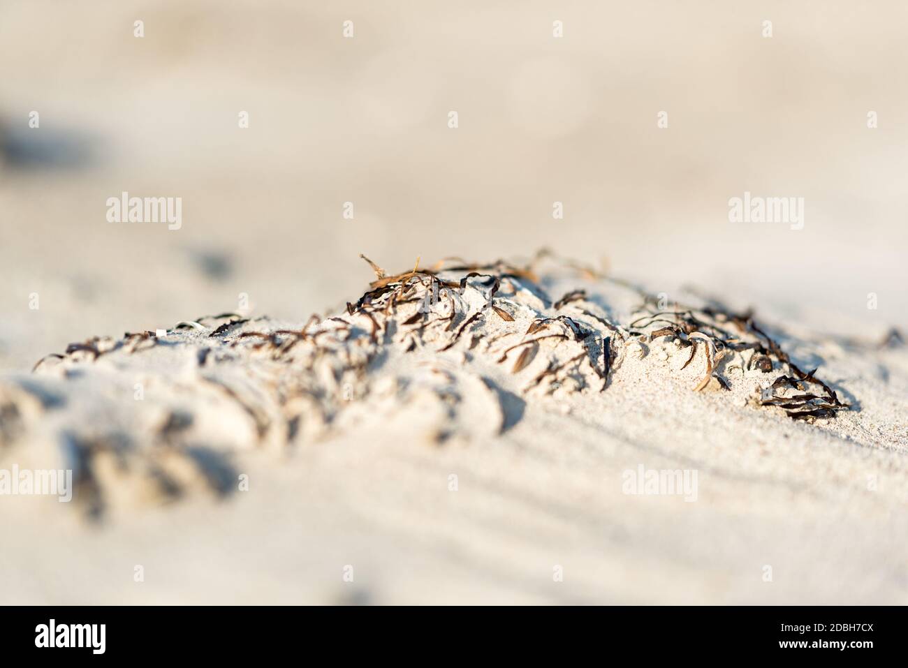 Sand beach beachside hi-res stock photography and images - Alamy