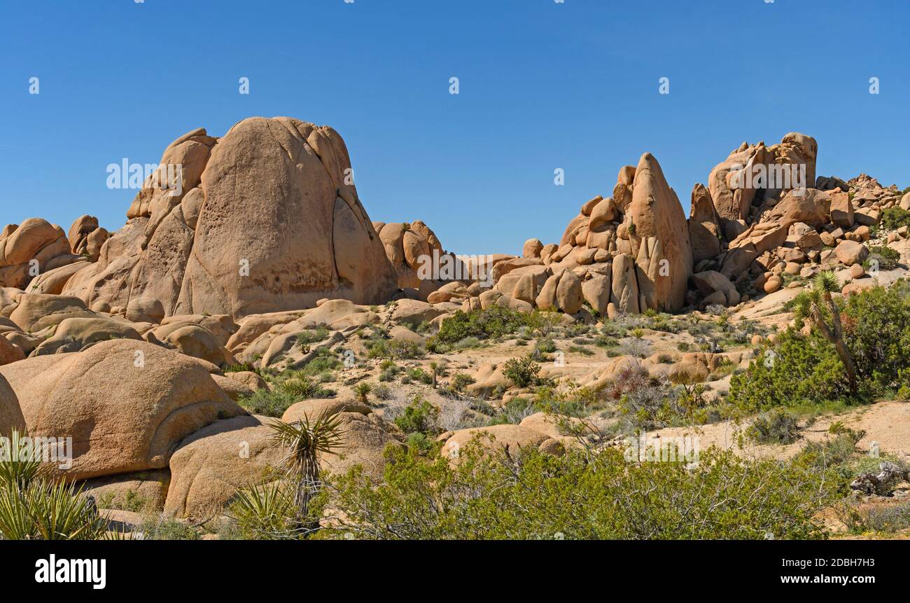 Arid Panorama in the Desert Spring in Joshua Tree National Monument in ...