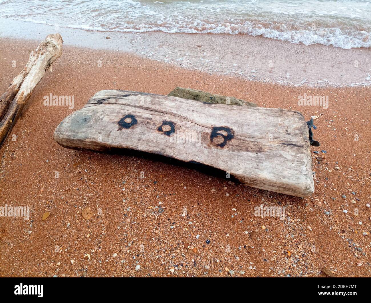 A large wooden log on the beach Stock Photo - Alamy
