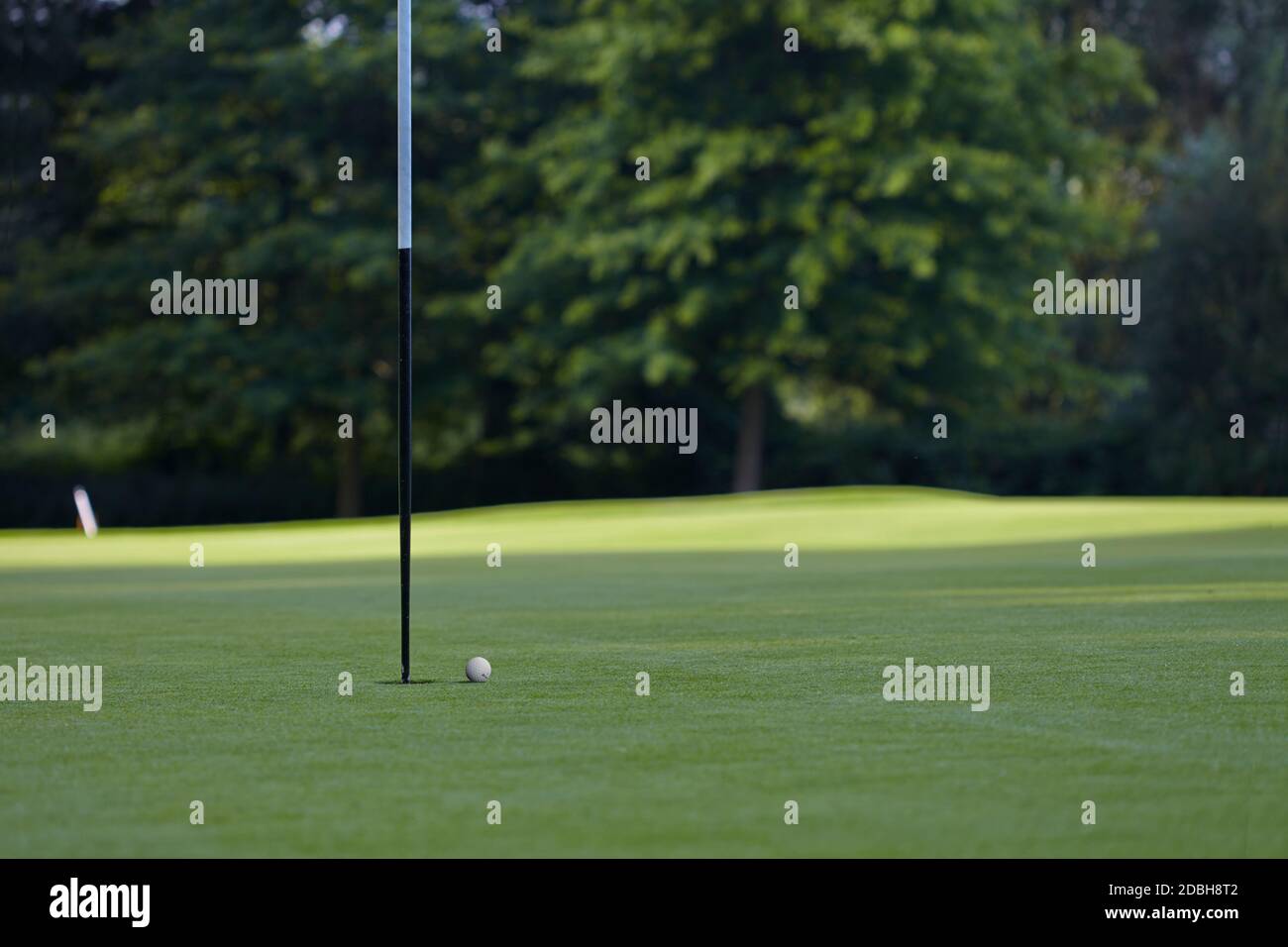 Golfcourse, Beautiful landscape of a golf court with trees and green ...