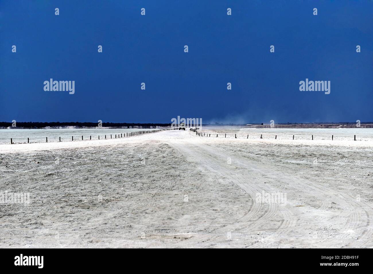 Etosha Pan, Namibia Stock Photo - Alamy