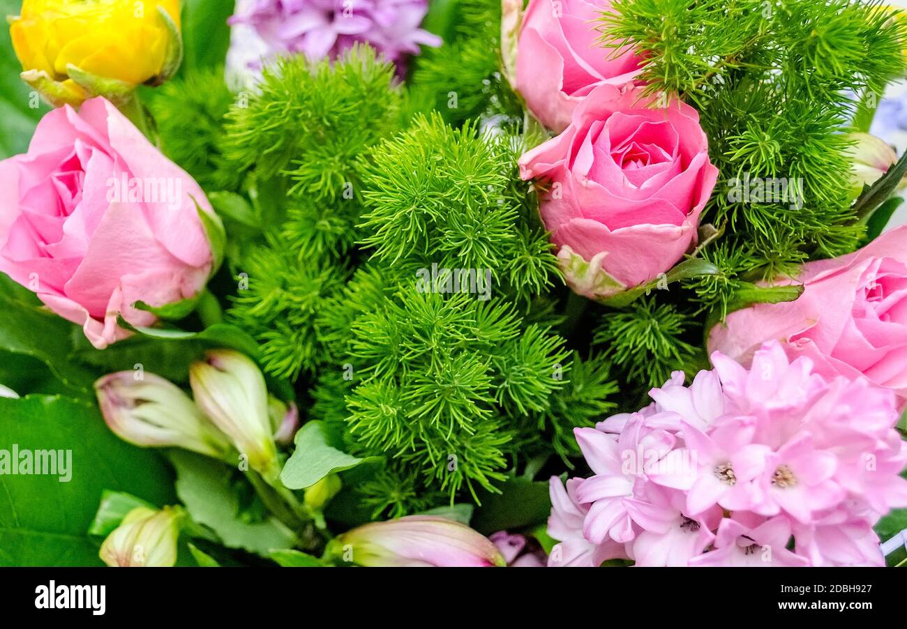 Colorful mix of flowers. May be used as background Stock Photo - Alamy
