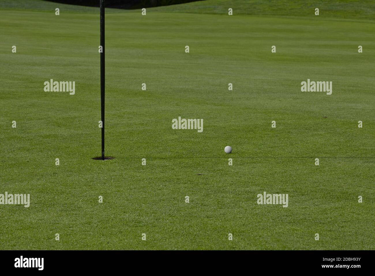 Golfcourse, Beautiful landscape of a golf court with trees and green ...