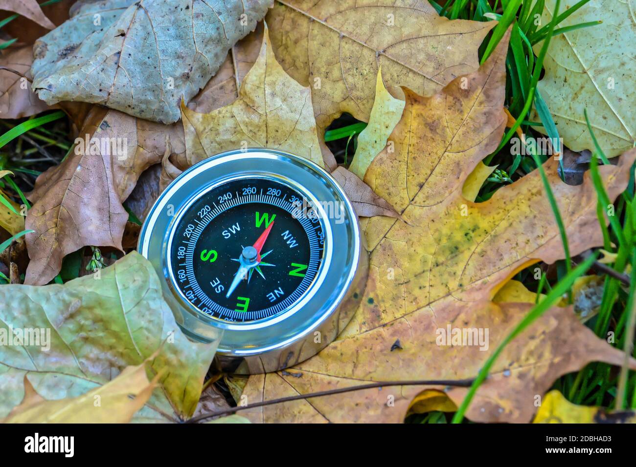 Compass on fallen leaves. Don't get lost this fall Stock Photo - Alamy