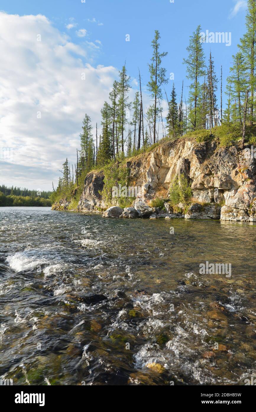 Summer river landscape. Northern taiga deserted river Stock Photo - Alamy