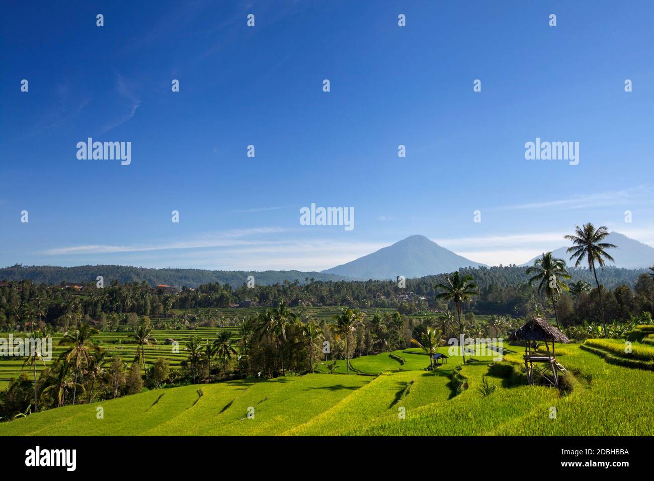 Agung volcano on the sunrise, Bali island in Indonesia Stock Photo - Alamy