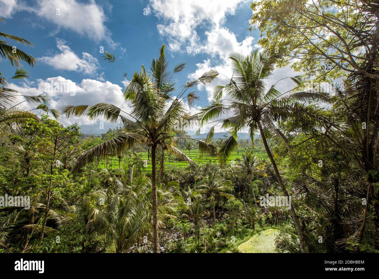Bali Landscape, Bali Scenery, Indonesia Scenery, Indonesia Landscape ...