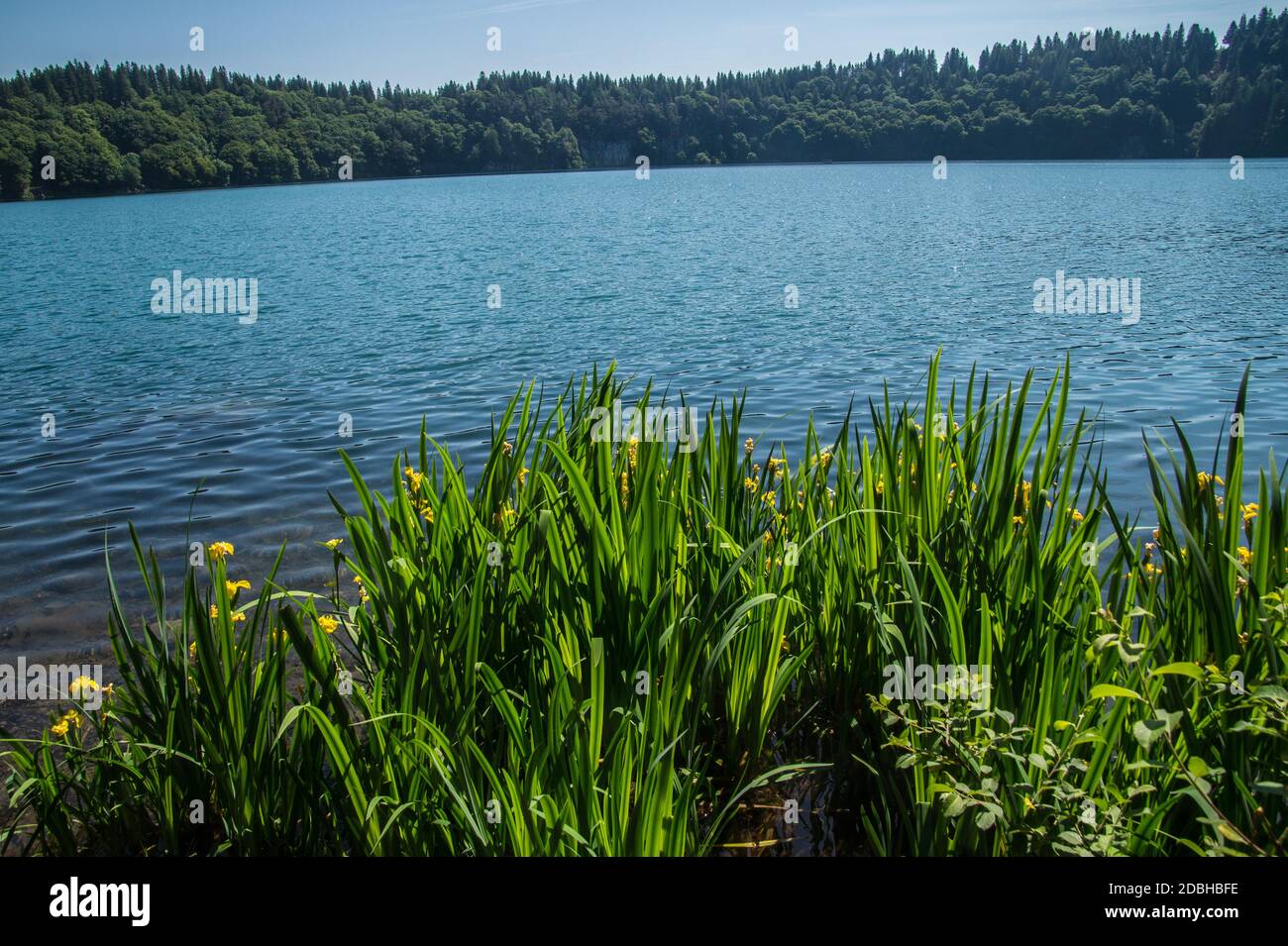 lake pavin in puy de dome in france Stock Photo - Alamy