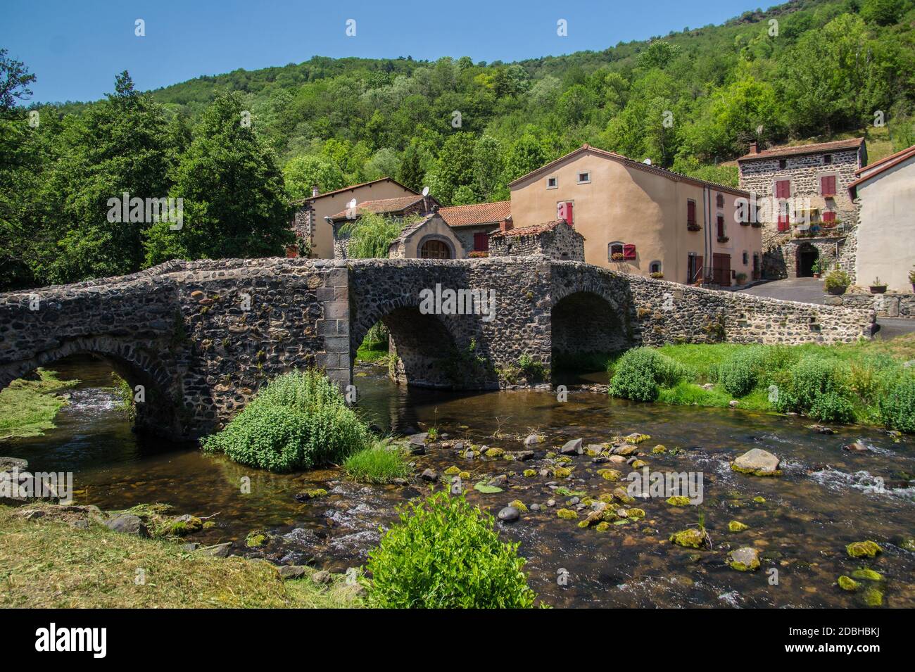 Saurier hi-res stock photography and images - Alamy