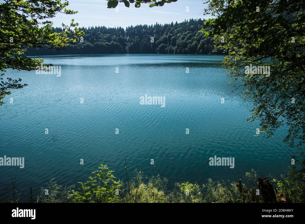 lake pavin in puy de dome in france Stock Photo - Alamy