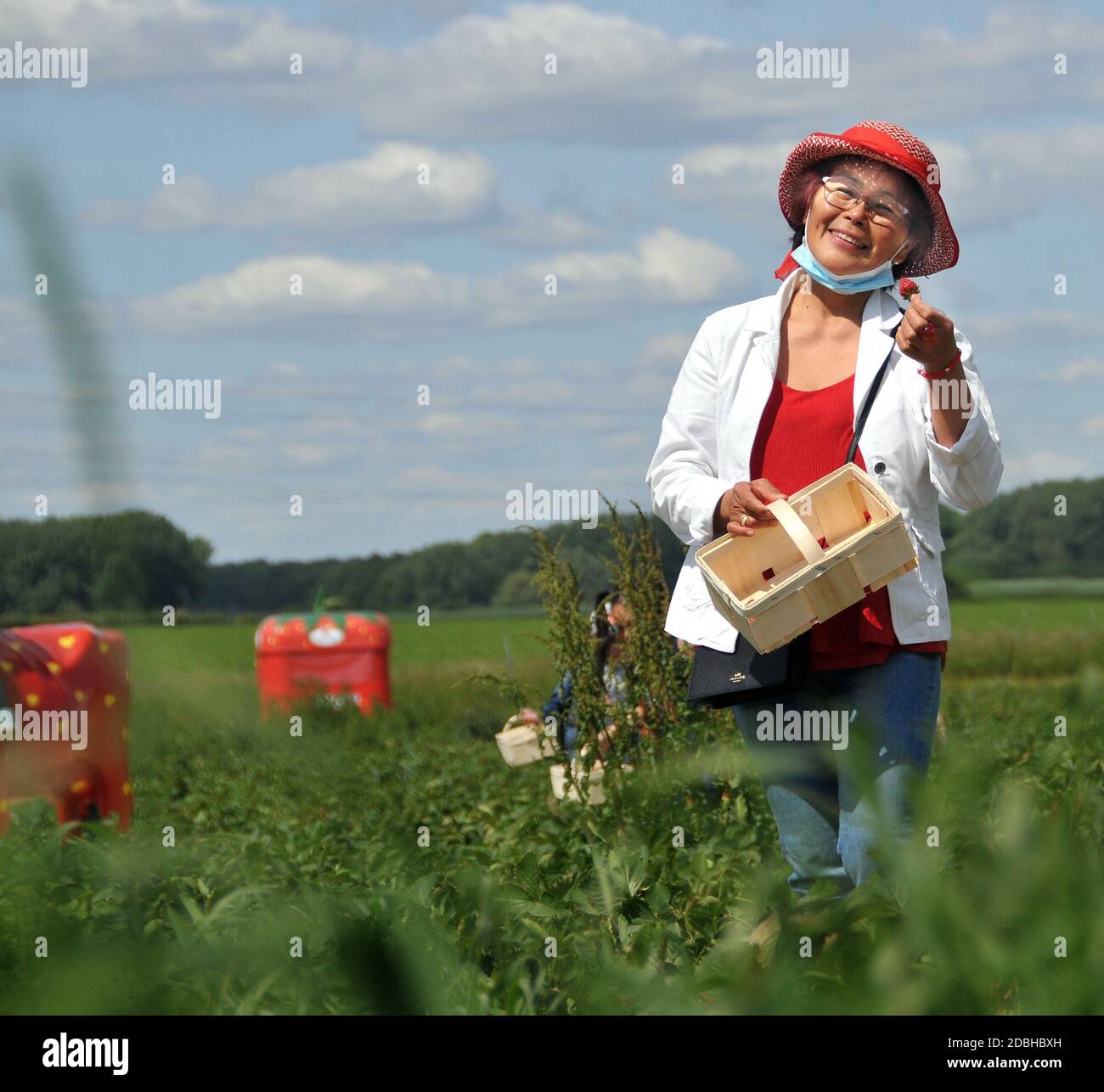 Pick spring hi-res stock photography and images - Alamy