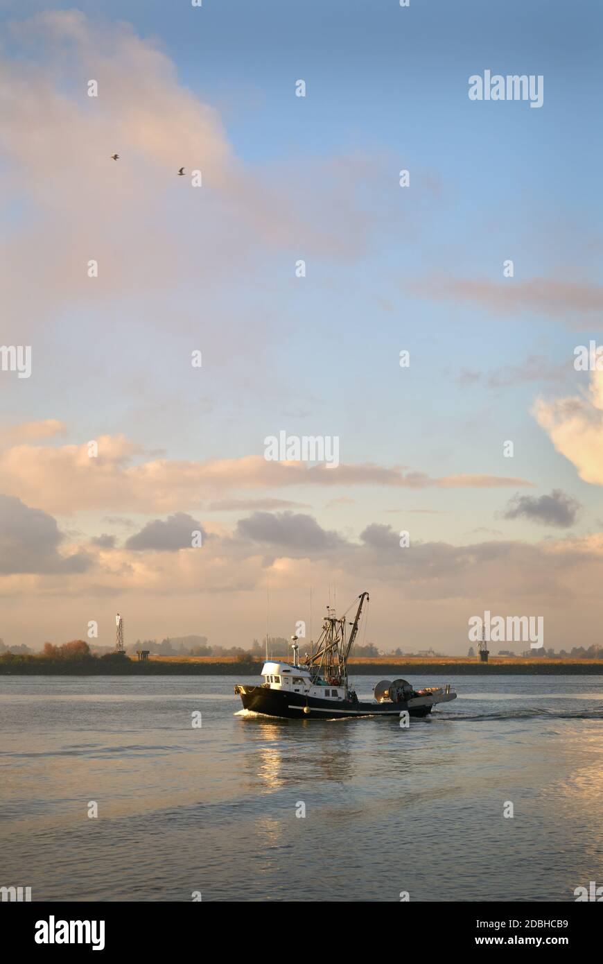 Seiner Fraser River. A seine boat travels up the Fraser River from ...