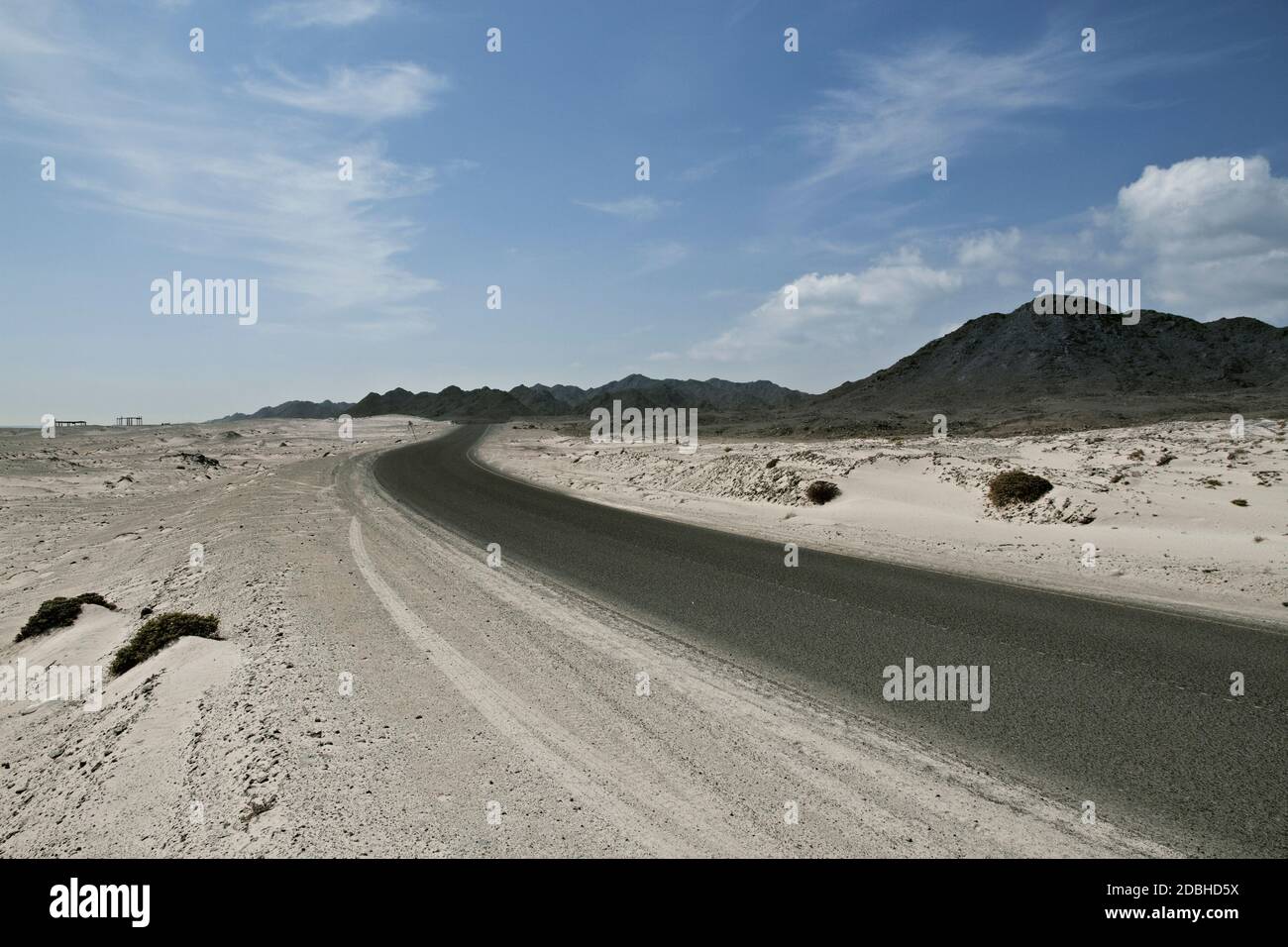 Wide panorama with dirt road in Oman desert and bushes near horizon ...