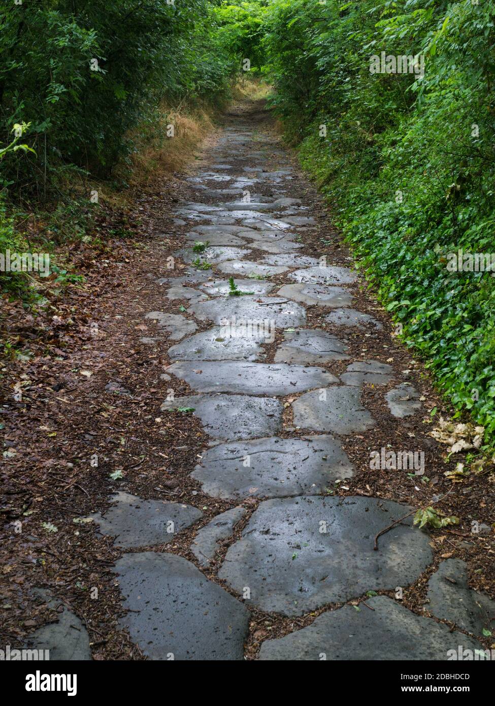 Via cassia rome hi-res stock photography and images - Alamy