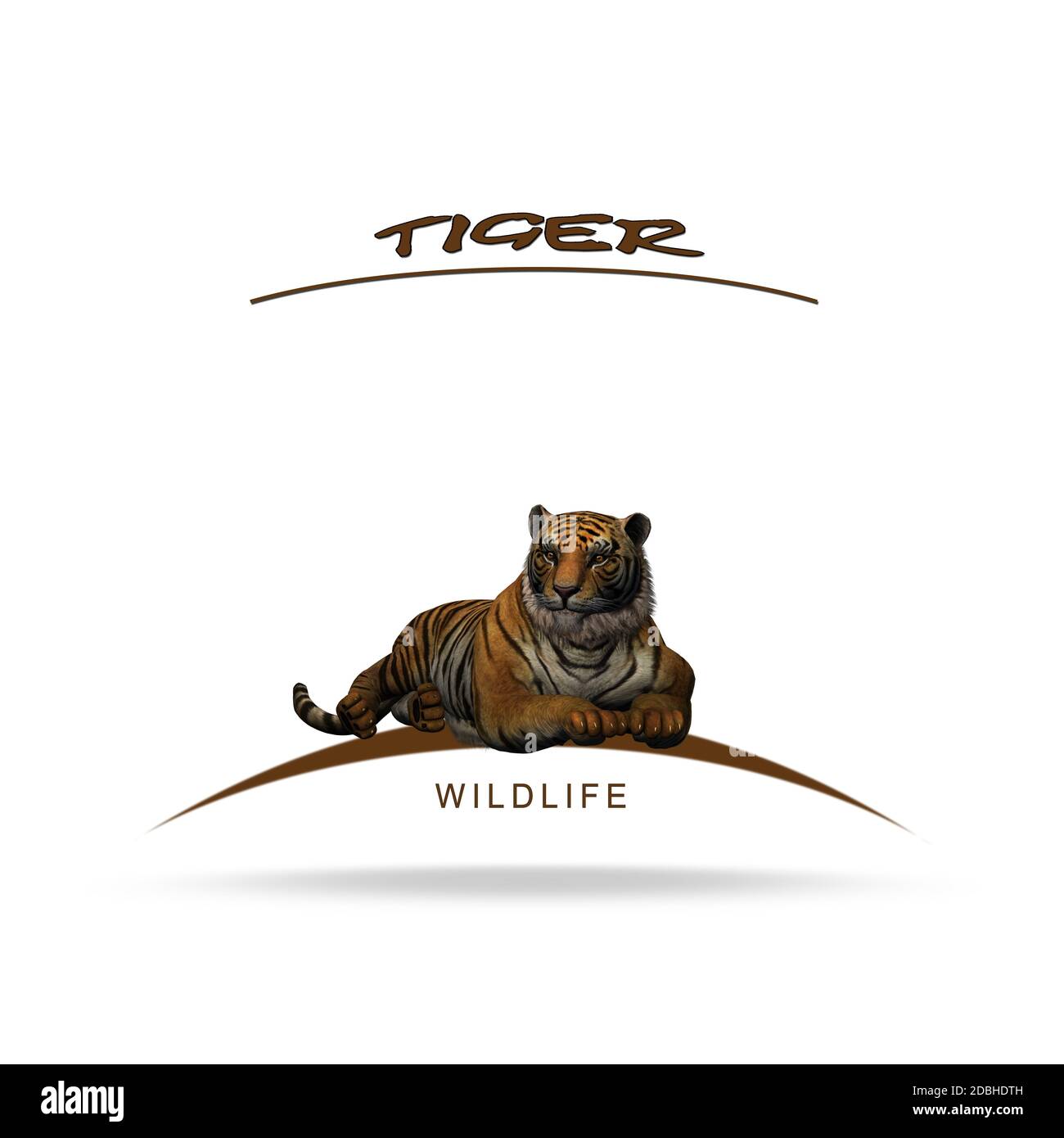 Wildlife - Tiger with name lettering - isolated on white background ...