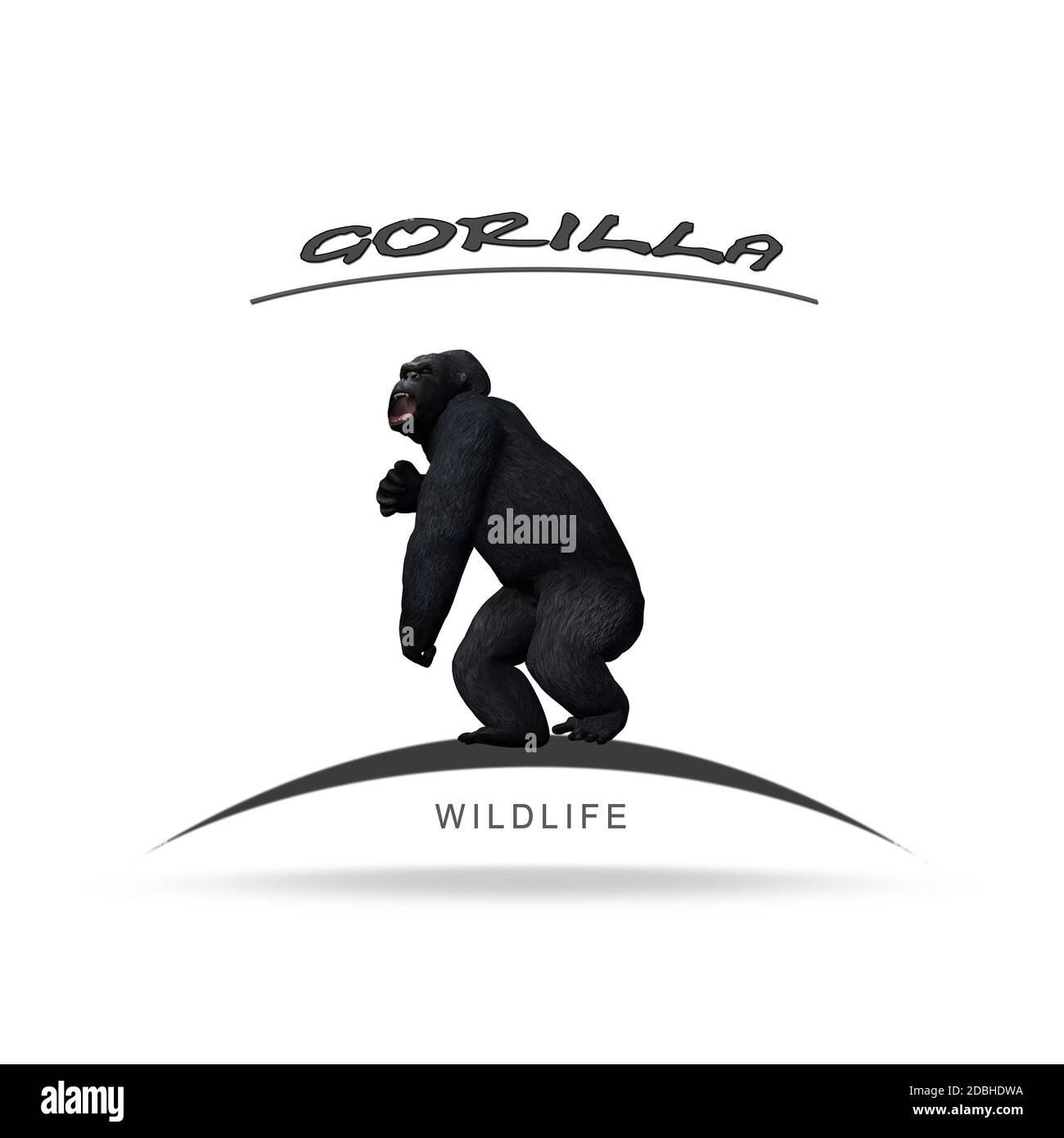 Wildlife - Gorilla with name lettering - isolated on white background ...