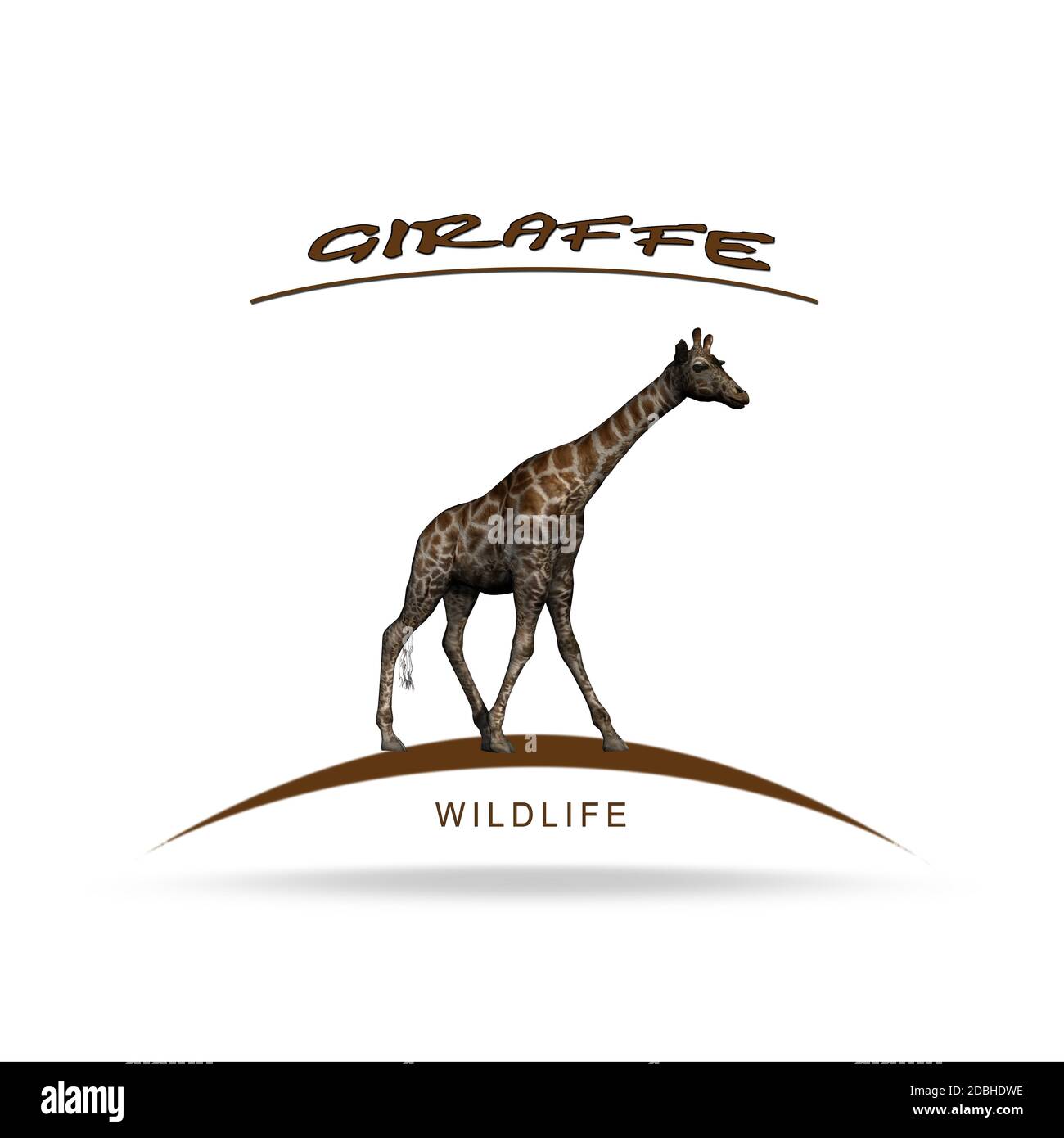 Wildlife - Giraffe with name lettering - isolated on white background ...