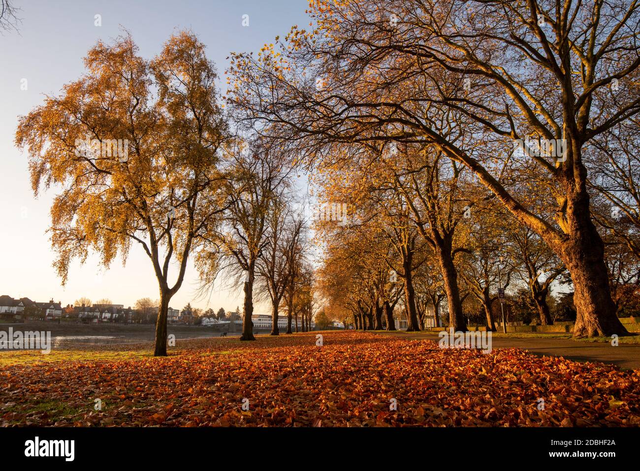 Golden Autumn Morning at Victoria Embankment in Nottingham ...