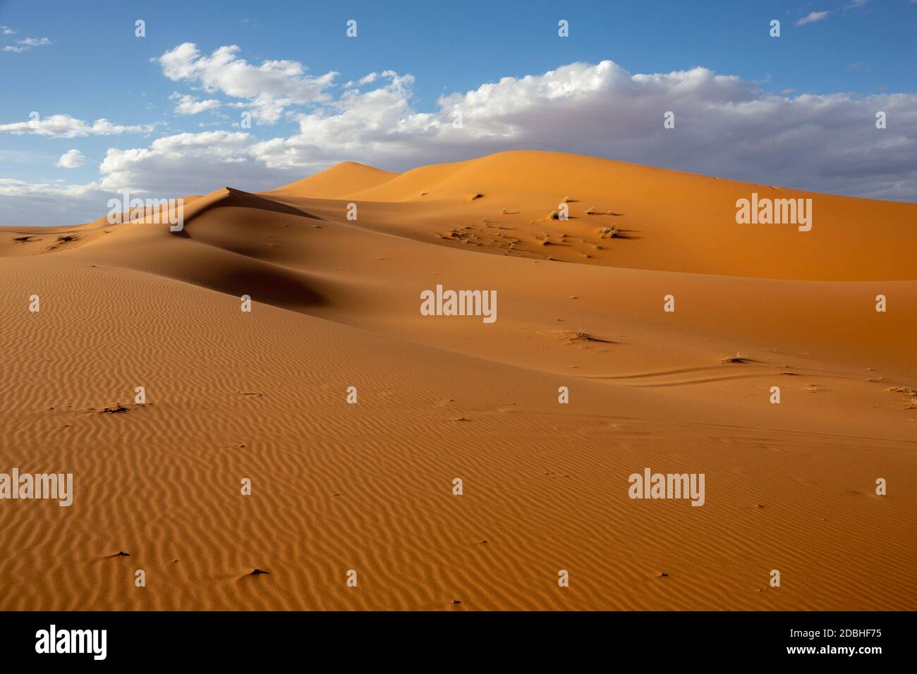 Deserts and Sand Dunes Landscape at Sunrise, Sahara, Africa Stock Photo ...