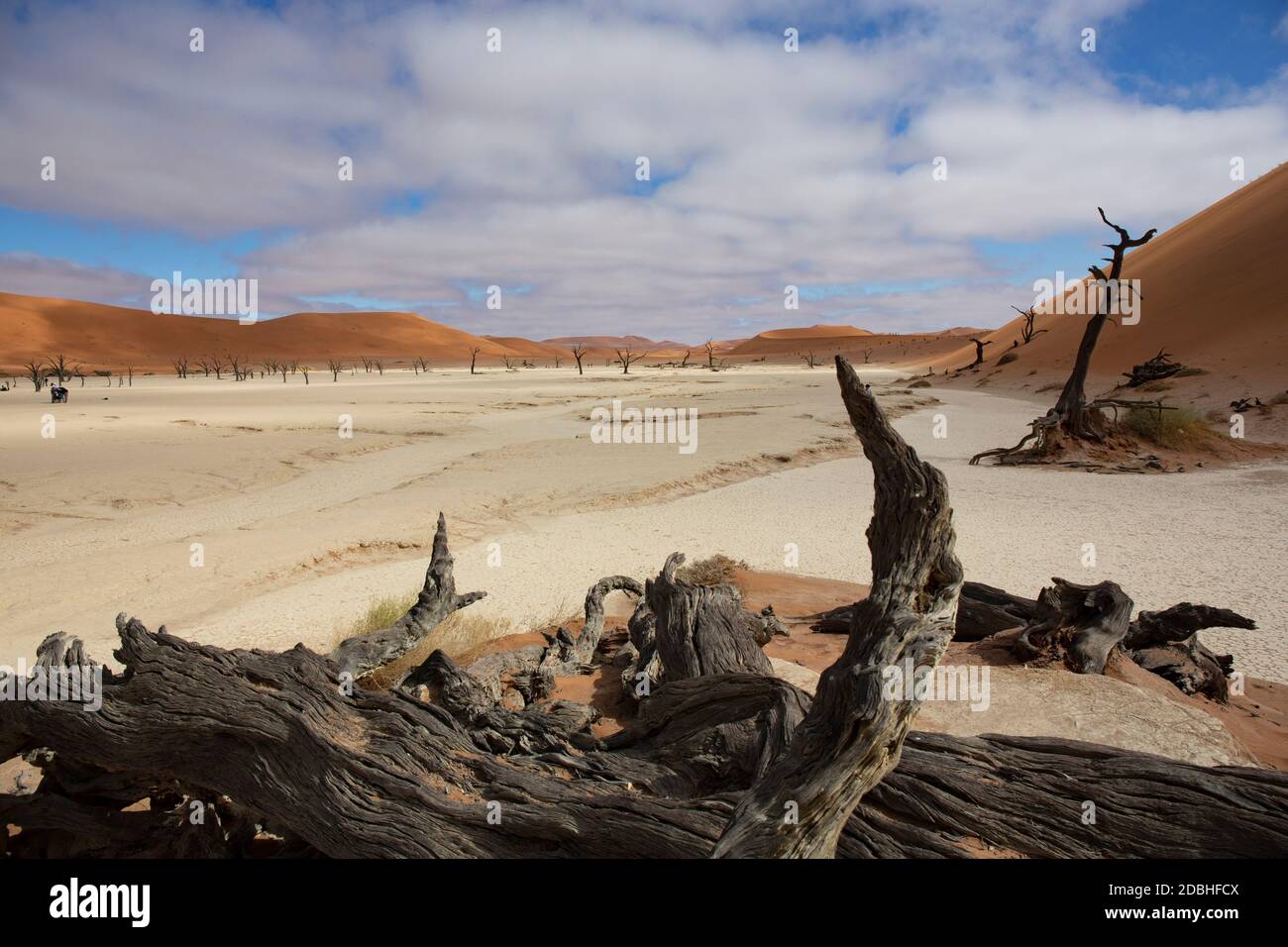 sossusvlei beautiful sunrise landscape of hidden death valley in ...