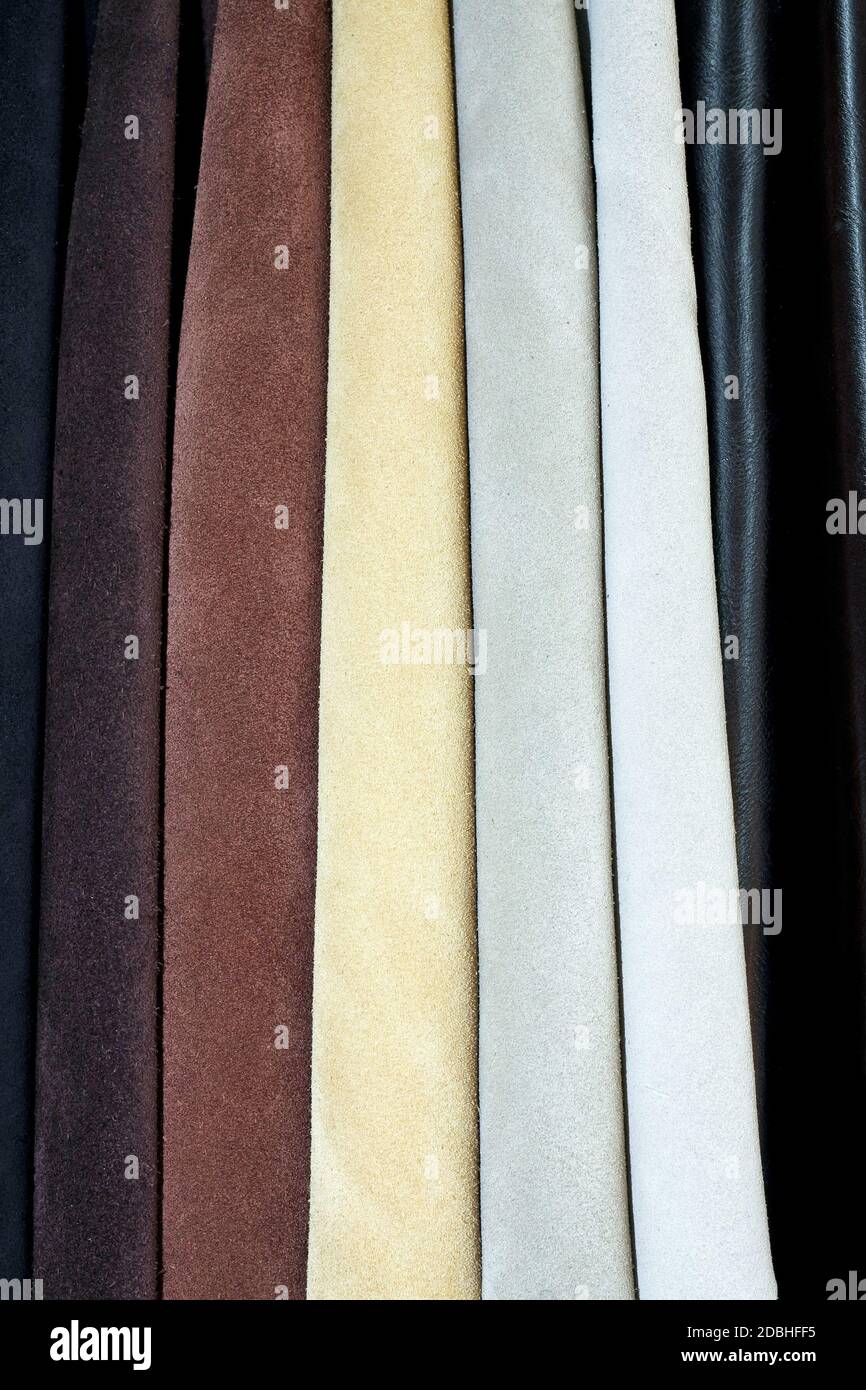 Natural buck leather samples for fashion industry Stock Photo - Alamy