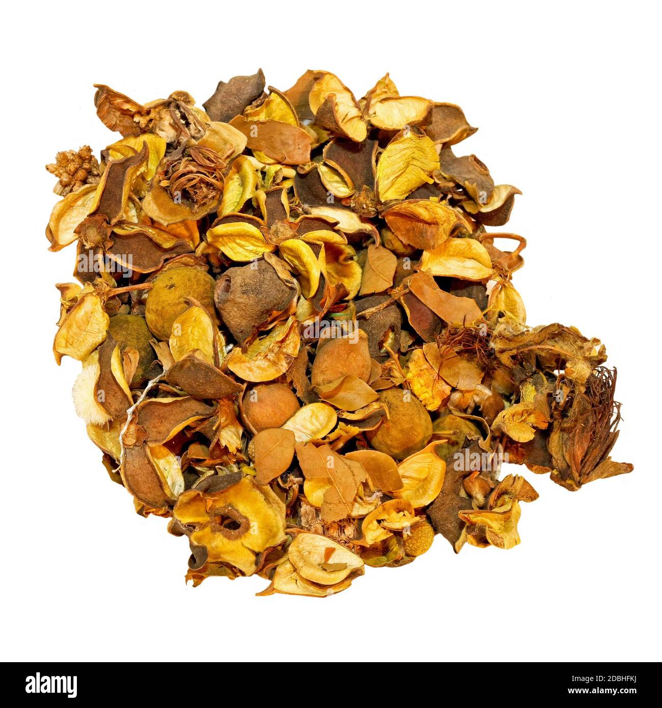 Bunch of dried yellow flowers and fruit Stock Photo - Alamy