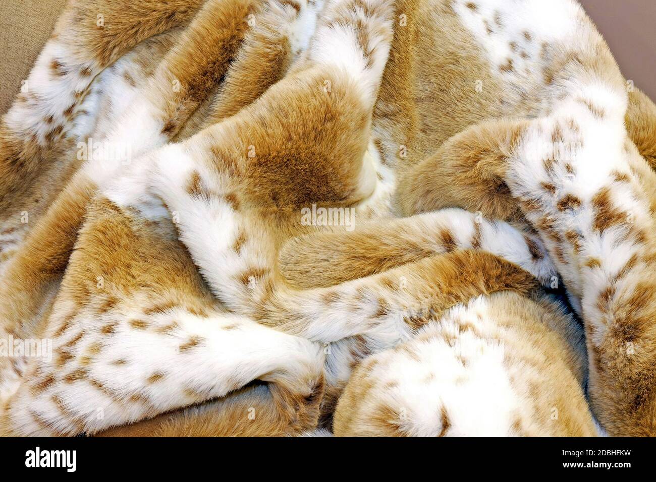 Fashion fur made from real wild animal Stock Photo - Alamy