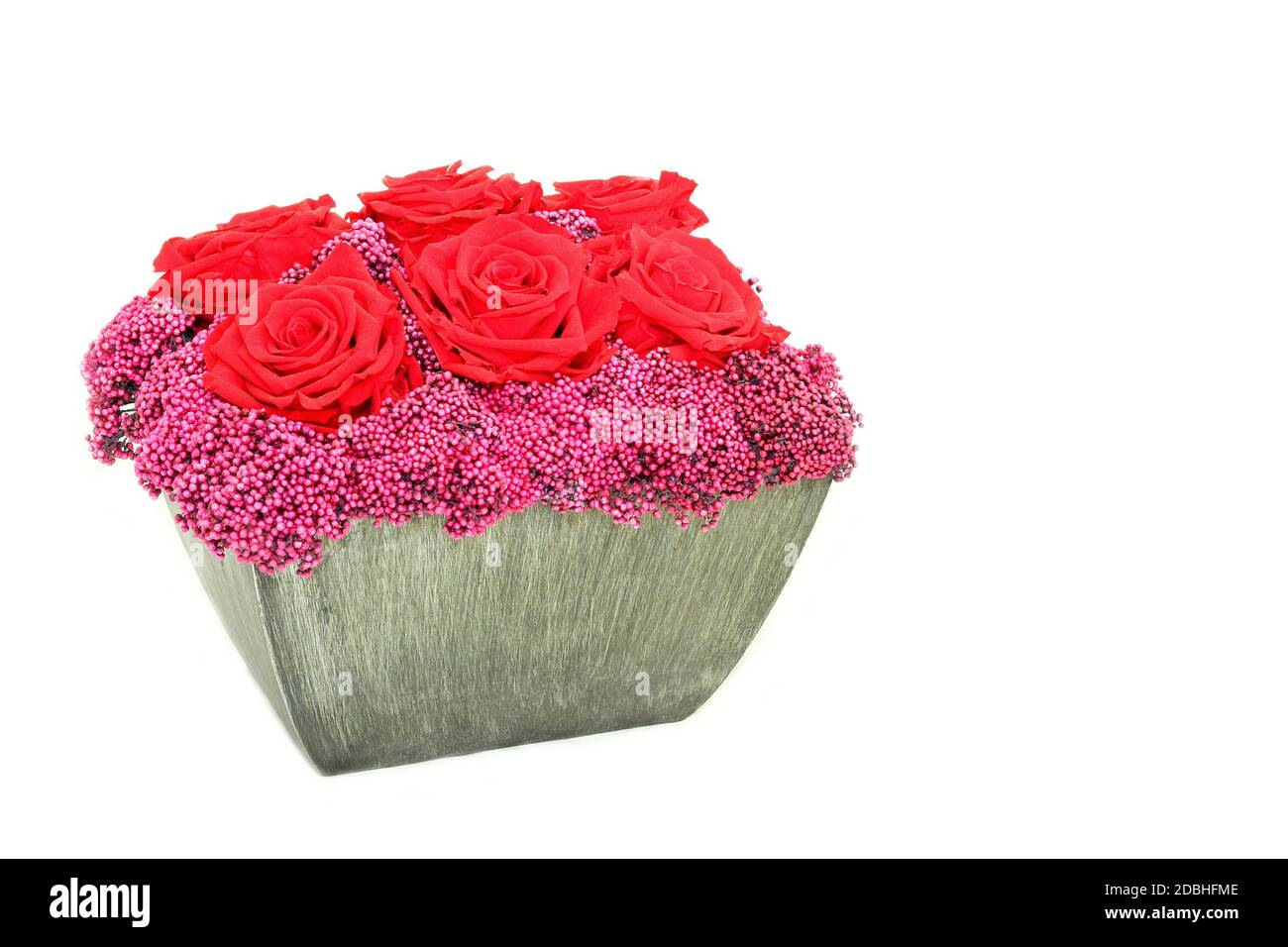 Beautiful red roses in pot isolated on white Stock Photo - Alamy
