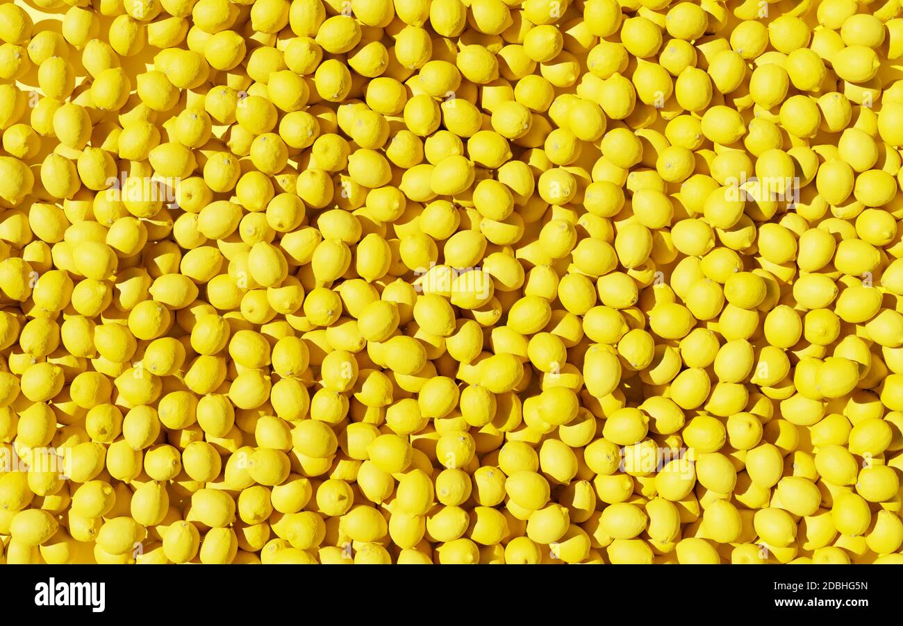 Many juicy yellow lemons lie together in a large heap. Fruit lemon ...