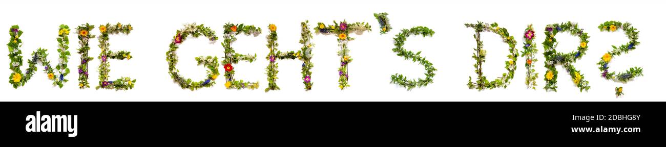 Flower, Branches And Blossom Letter Building German Word Wie Gehts Dir ...