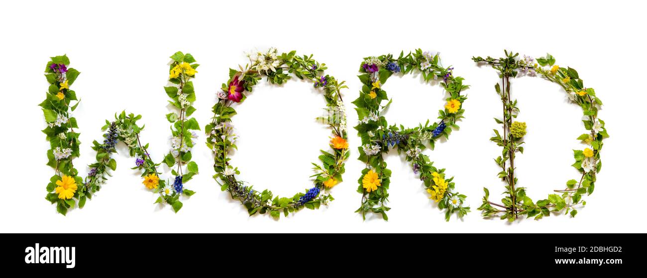 Flower, Branches And Blossom Letter Building English Word. White ...