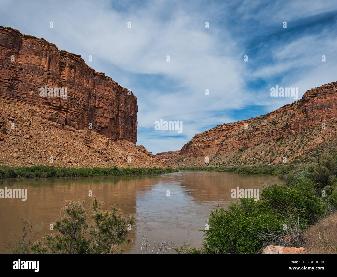 The Colorado River between the red cliffs with bushes on the banks ...
